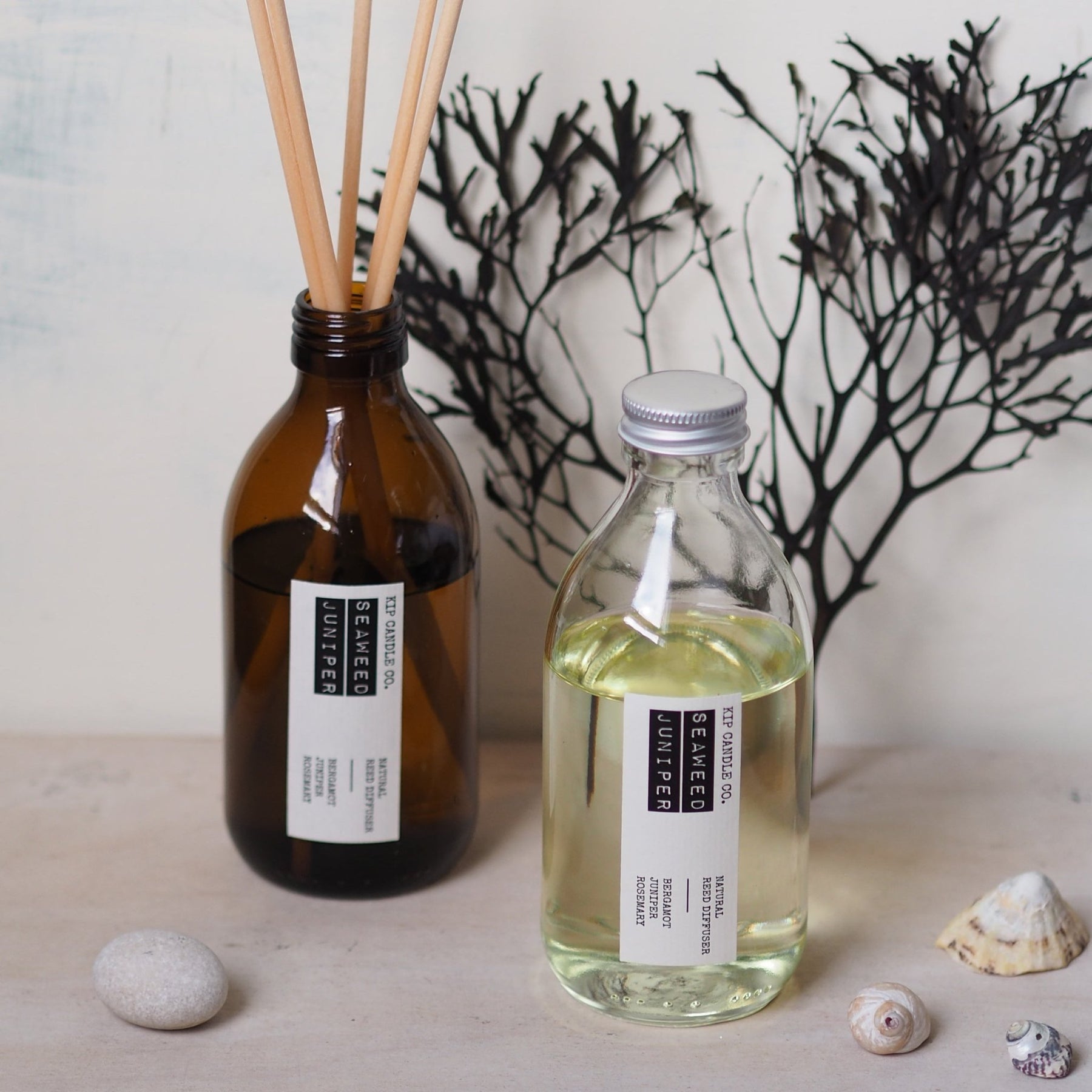Seaweed Juniper Reed Diffuser Kit - Kip Candle Co