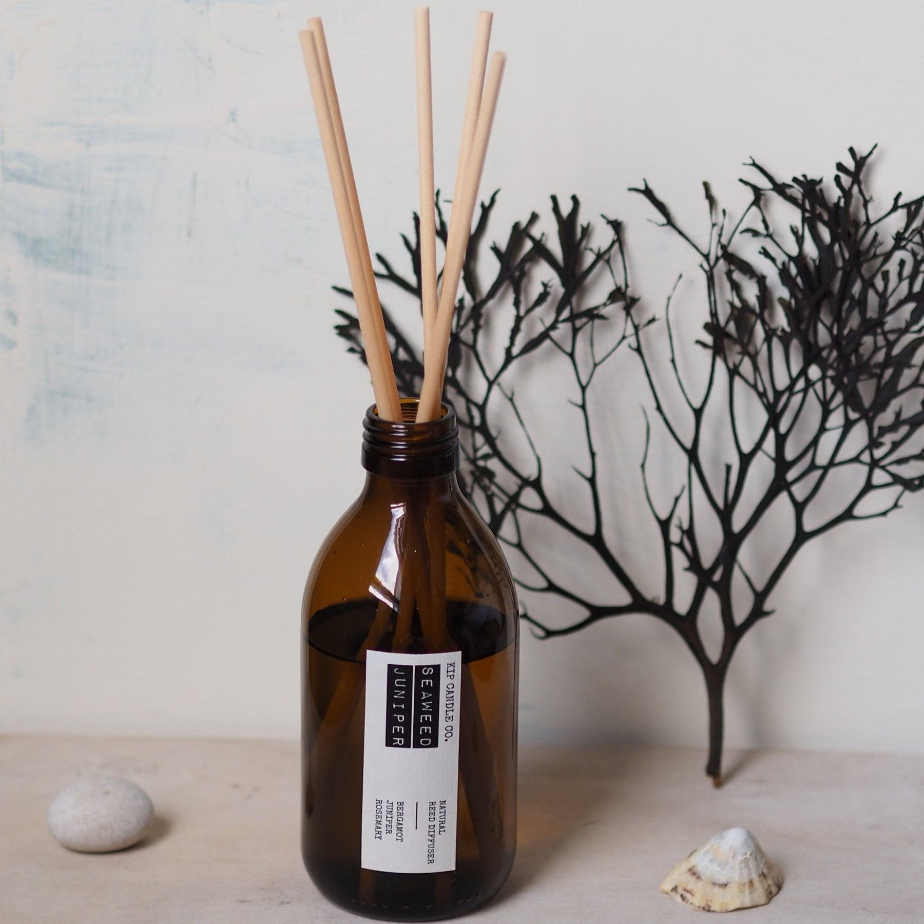 Seaweed Juniper Reed Diffuser Kit - Kip Candle Co