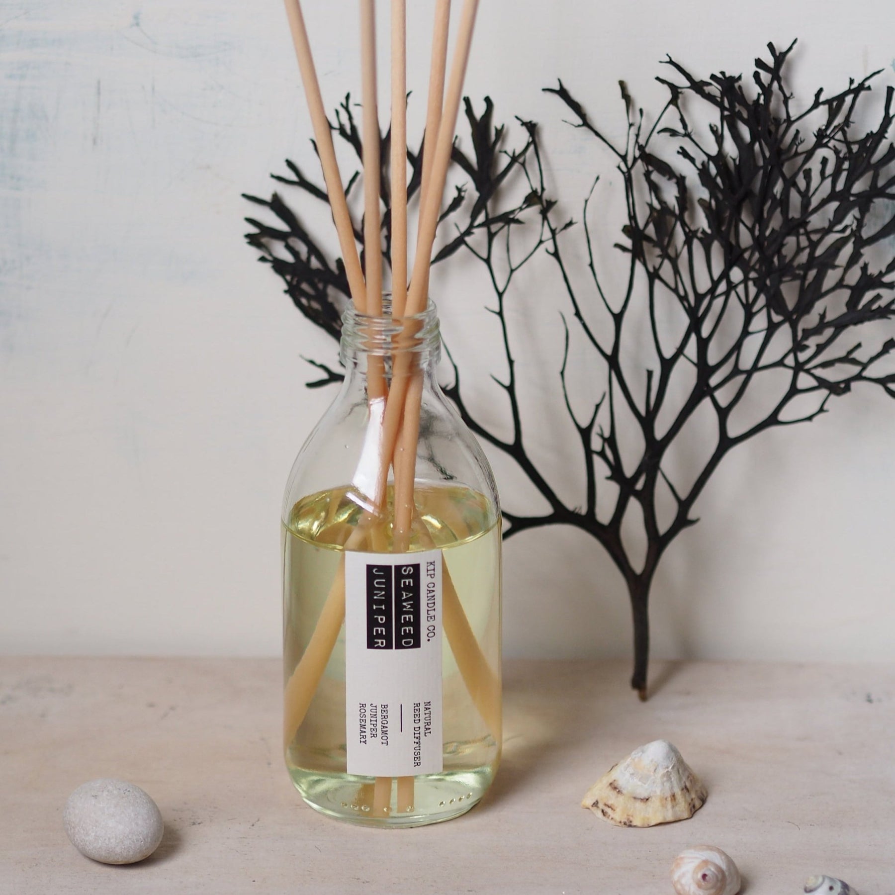 Seaweed Juniper Reed Diffuser Kit - Kip Candle Co
